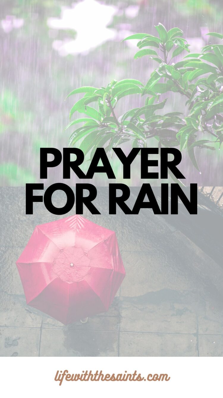Prayer for Rain: A Prayer for Gardeners, Farmers, and Homebodies - Life ...